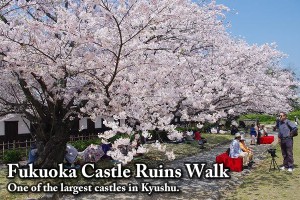 Fukuoka Castle Ruins Walk | Fukuoka Walks